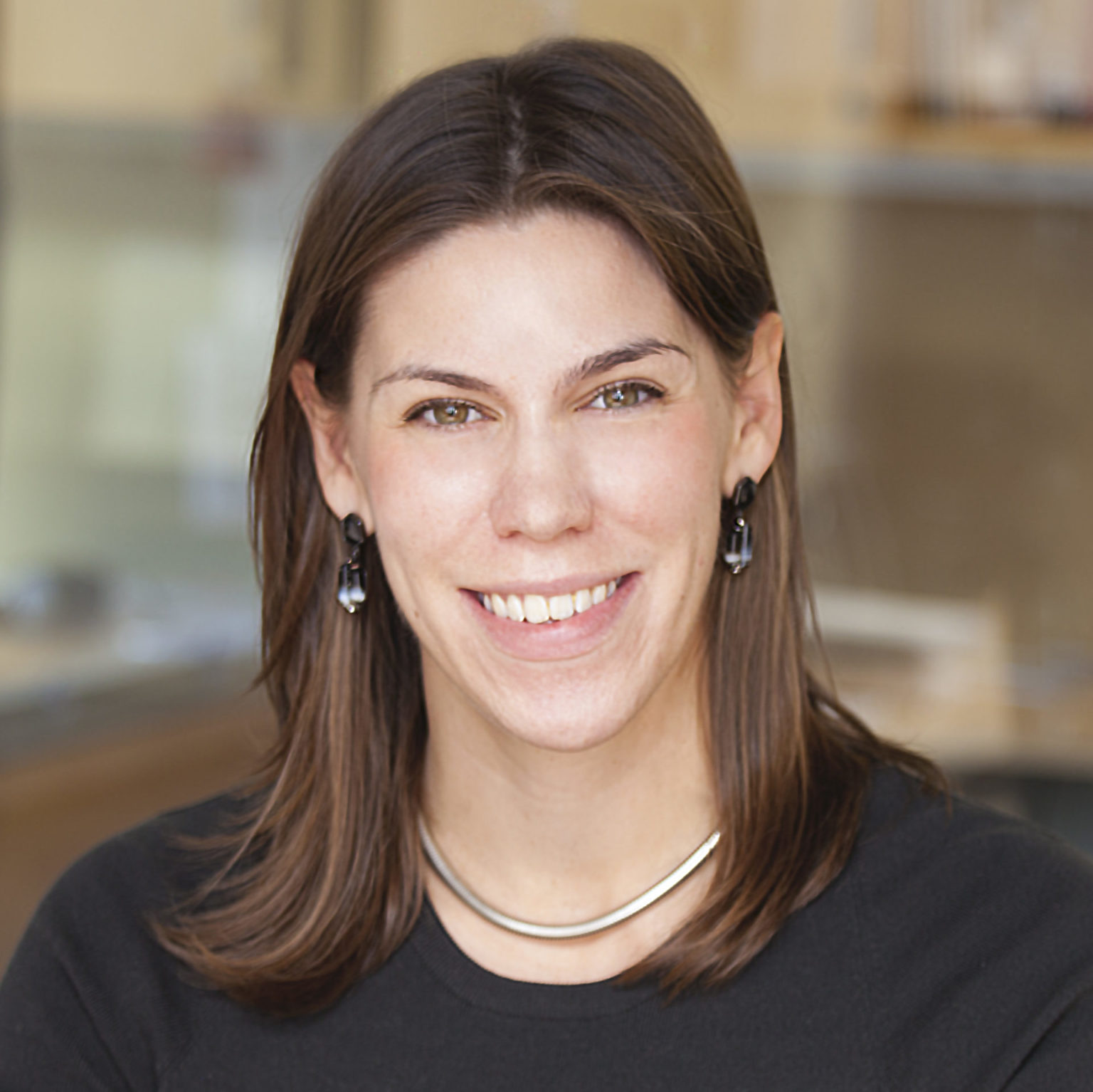 Board of Directors - U.S. Energy Foundation